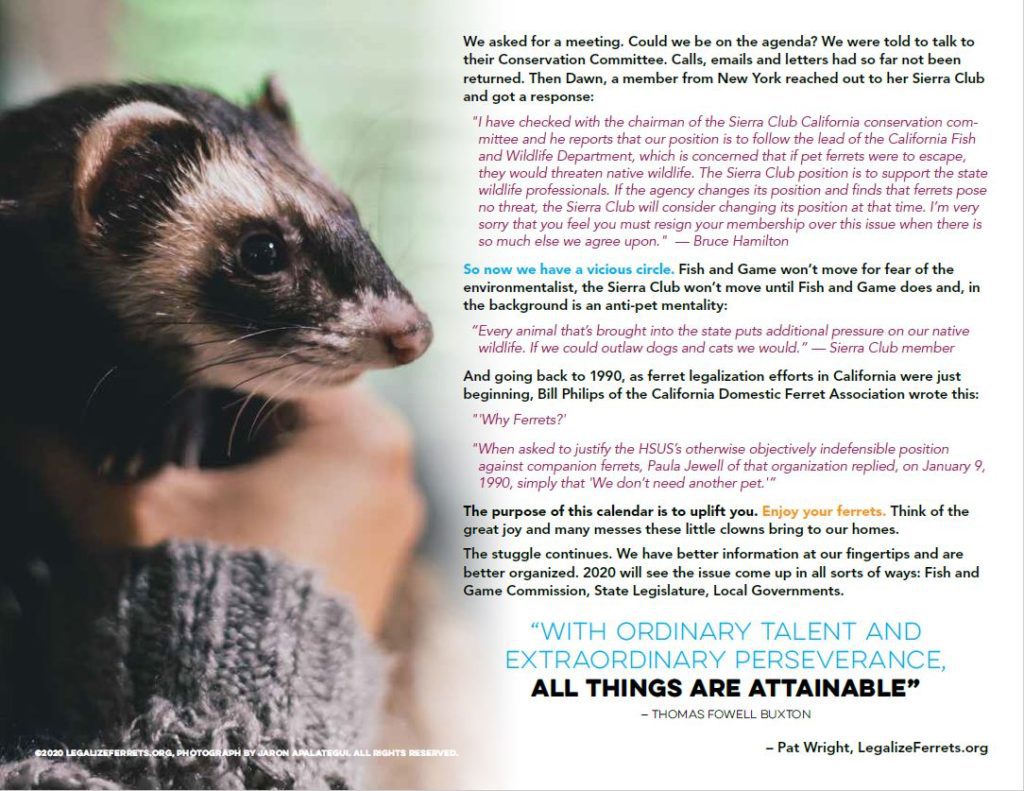 Legalize Ferrets
