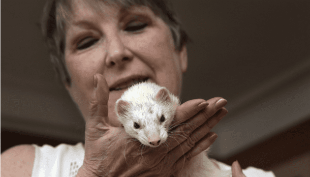 When Agencies Rewrite Science: The Ferret Files of California Fish ...